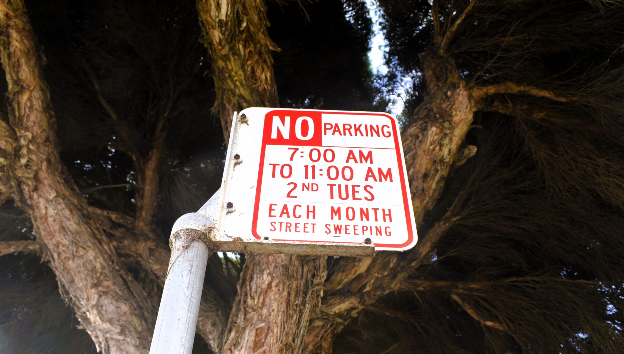 Richmond to install new street sweeping signs citywide - Richmond Standard