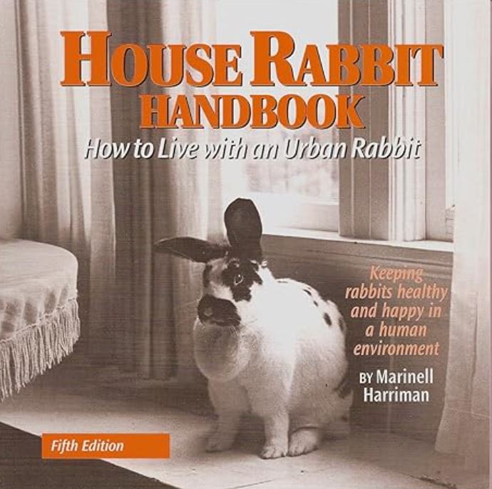 Richmond nonprofit serves as worldwide resource on house rabbits ...