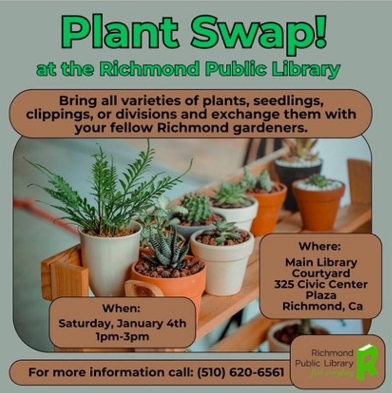 ‘Plant Swap’ set to sprout up in library courtyard - Richmond Standard
