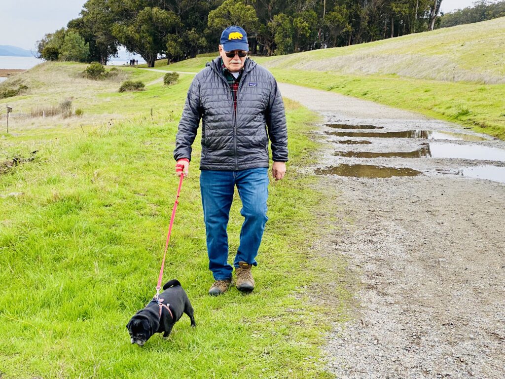 A Few of My Favorite Things: Point Pinole Regional Shoreline’s Bay View ...