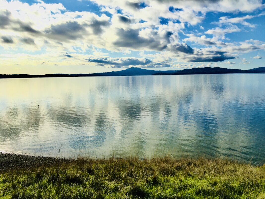 A Few of My Favorite Things: Point Pinole Regional Shoreline’s Bay View ...