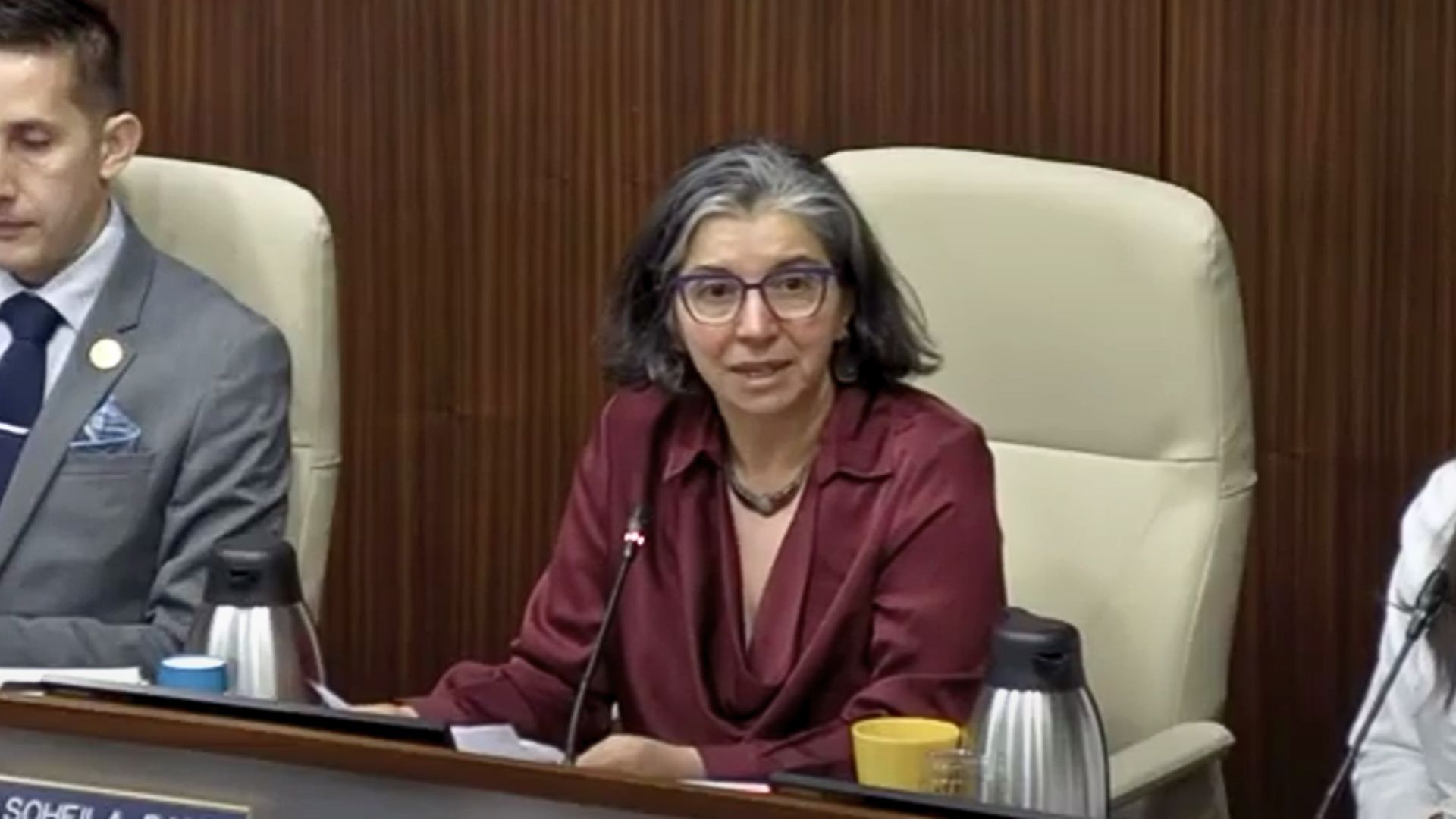 Richmond reckons with fireworks pollution - Richmond Standard