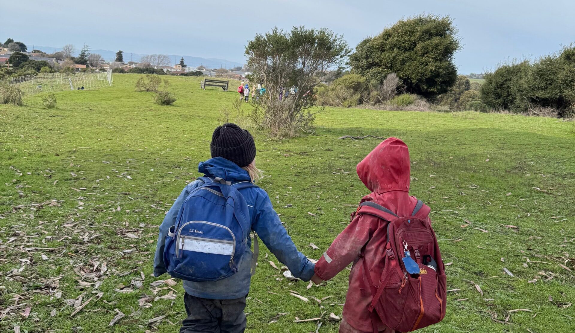 Wildcat Canyon Community School to host outdoor music festival ...