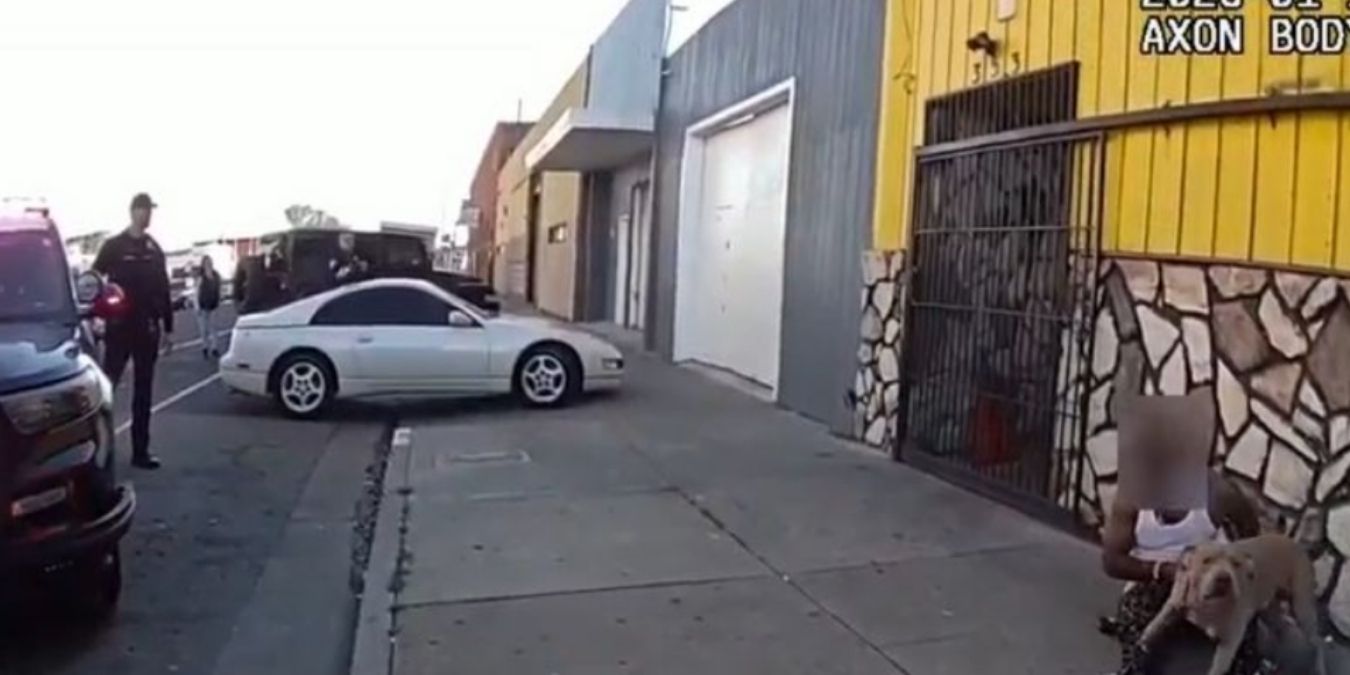 Richmond police use Taser to subdue dog during DUI arrest - Richmond ...